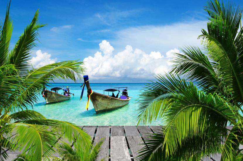 tropiki – Turystyczny Ninja