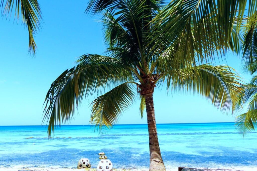 Dominikana – plaże. Wybieramy najpiękniejsze plaże na Dominikanie ...