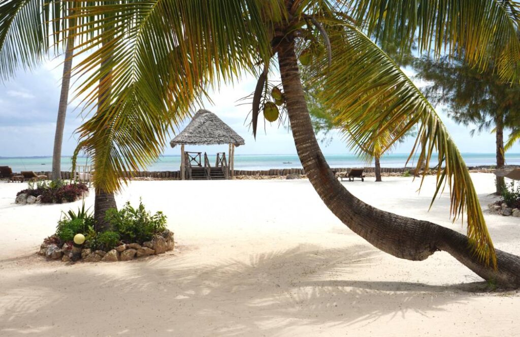 Plaża Michamvi Beach - Zanzibar