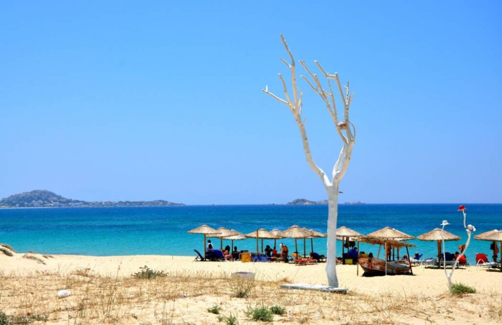 Plaka Beach – Turystyczny Ninja