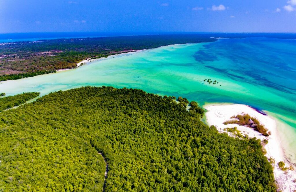 Plaża Michamvi Beach - Zanzibar