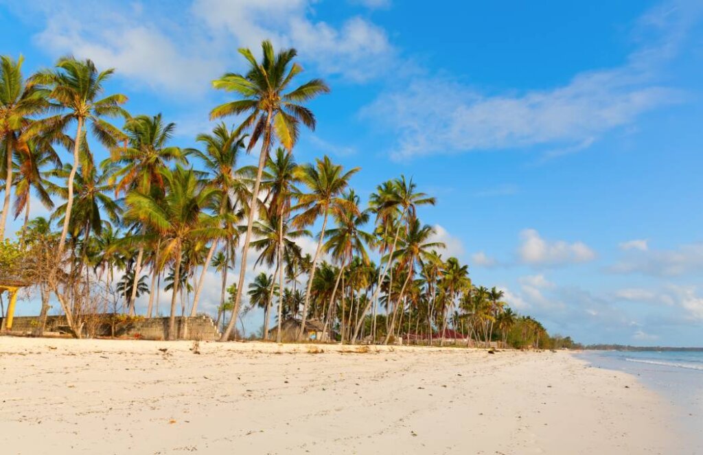 Plaża Uroa Bay Beach - Zanzibar