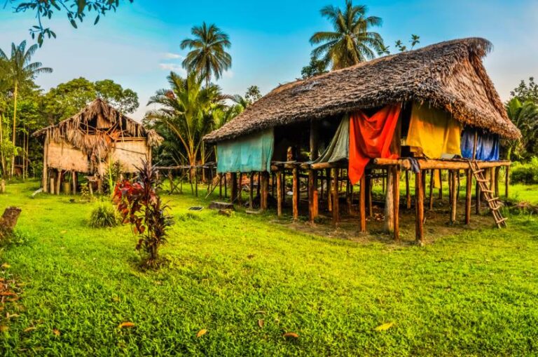 Papua Nowa Gwinea - ceny wakacji, jedzenia, transportu i usług w 2025 roku