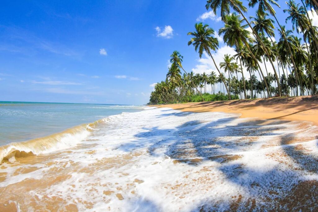 Sri Lanka – plaże. Wybieramy najpiękniejsze plaże na Sri Lance ...