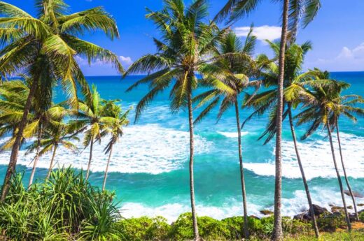 Ocean Indyjski – najważniejsze informacje – Turystyczny Ninja